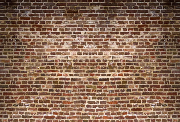 Vintage Brick Wall Photography Backdrops for Studio GC-33 – Dbackdrop