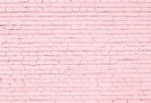Pink Brick Wall Photography Backdrop GC-41 – Dbackdrop