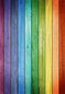 Rainbow Wood Backdrop for Party Photography G-411 – Dbackdrop
