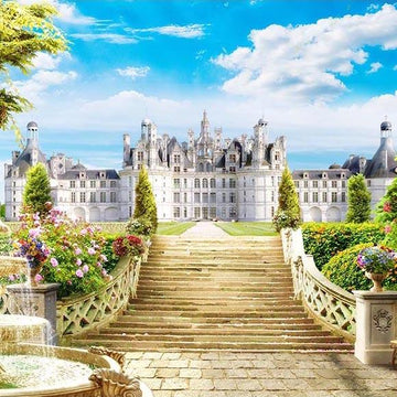 Castle Backdrops – Dbackdrop