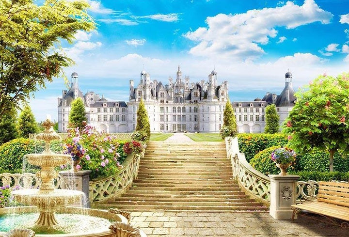 Castle Backdrops – Dbackdrop