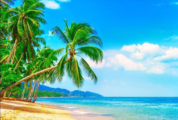 Summer Backdrops for Sale Online - Summer Photography Backdrops – Dbackdrop