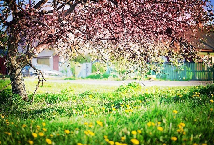 Spring Backdrops for Sale Online-Spring Photography Backdrops – Page 5 ...