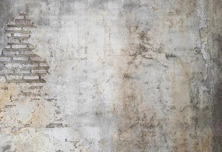 Brick Backdrop | Buy Brick Wall Backdrop for Home Online | Dbackdrop