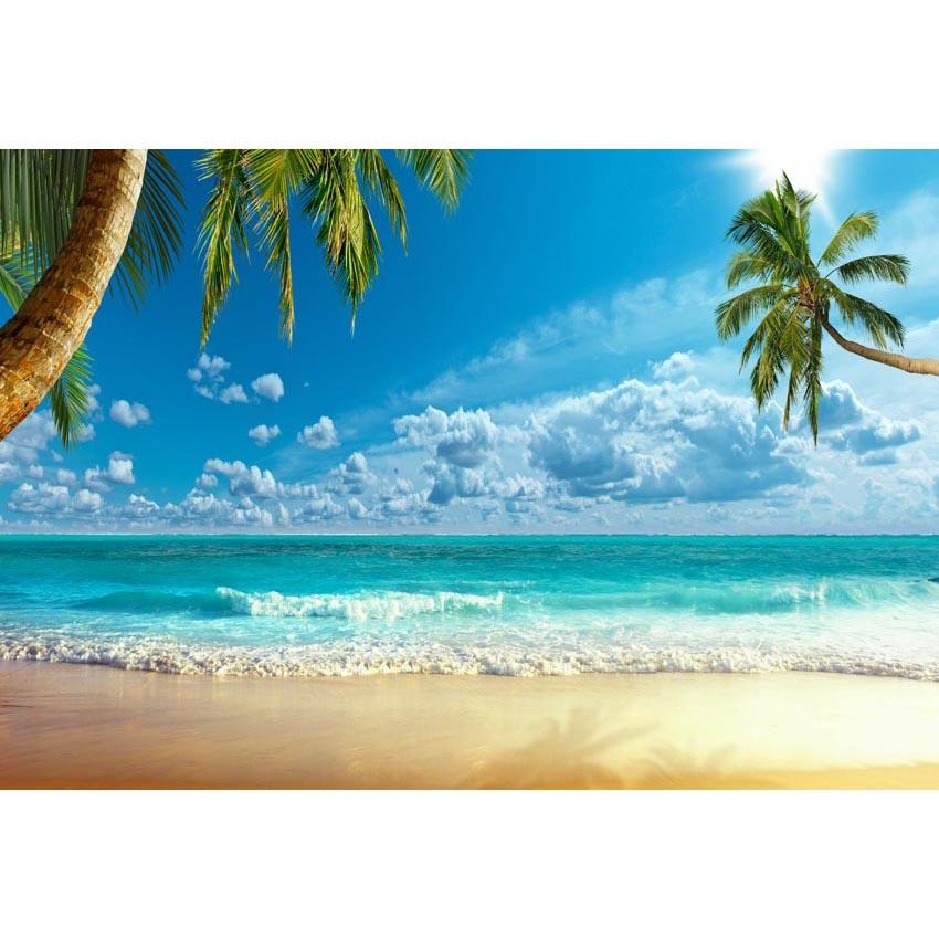 Summer Sea Beach Blue Sky Photo Studio Backdrop G-598 – Dbackdrop