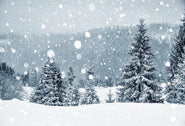 Winter Snow Backdrops for Photography-Dbackdrop