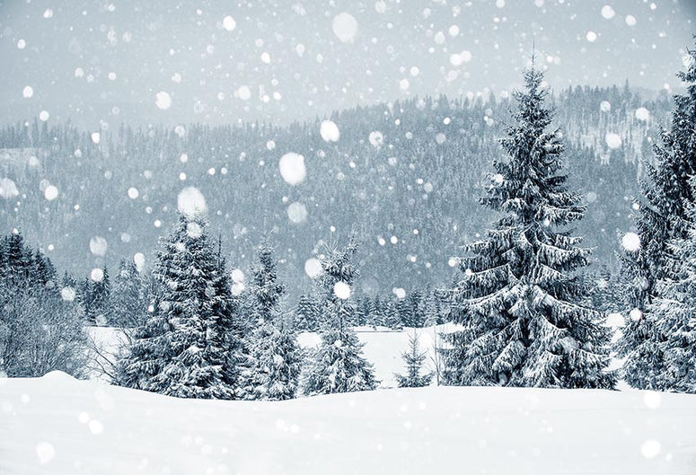 Winter Snow Backdrops for Photography-Dbackdrop