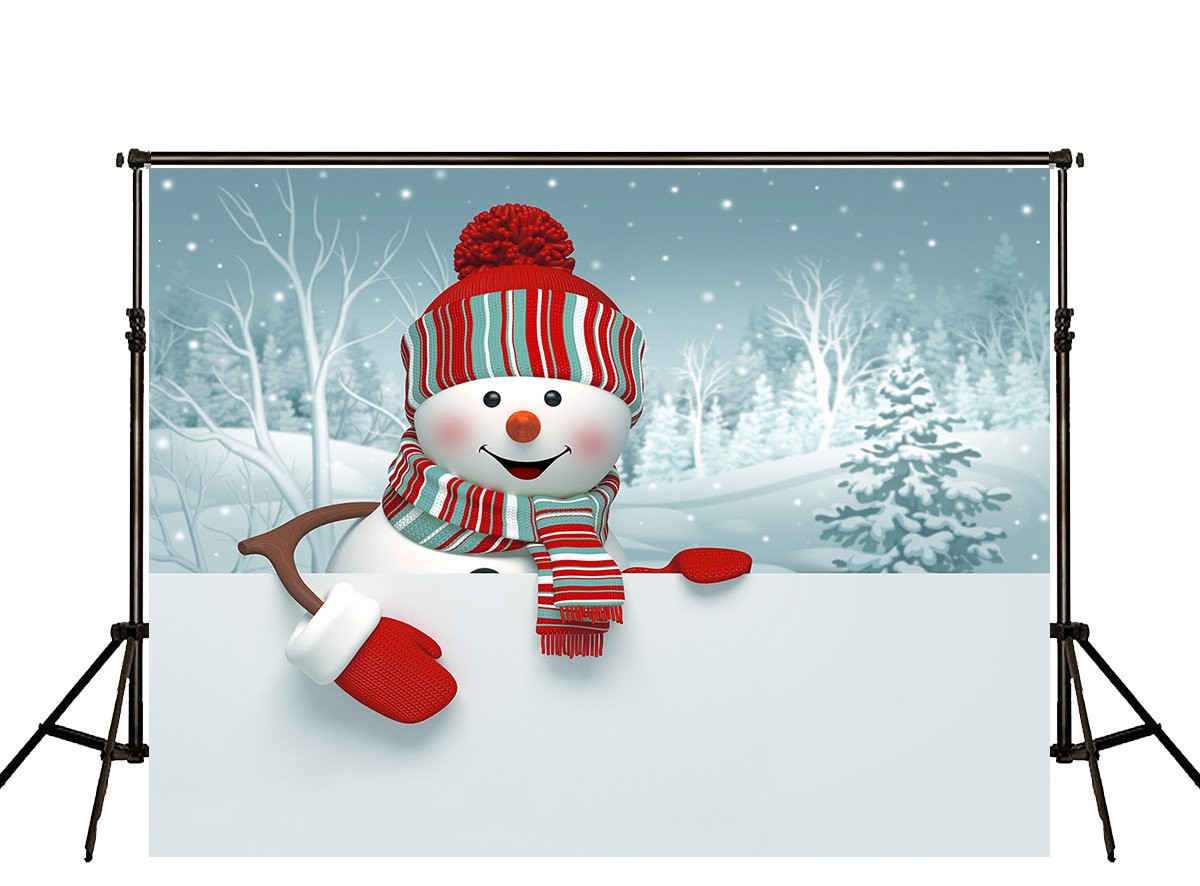 Winter Snowman White Snow Scenery Backdrop for Picture HJ02698 – Dbackdrop