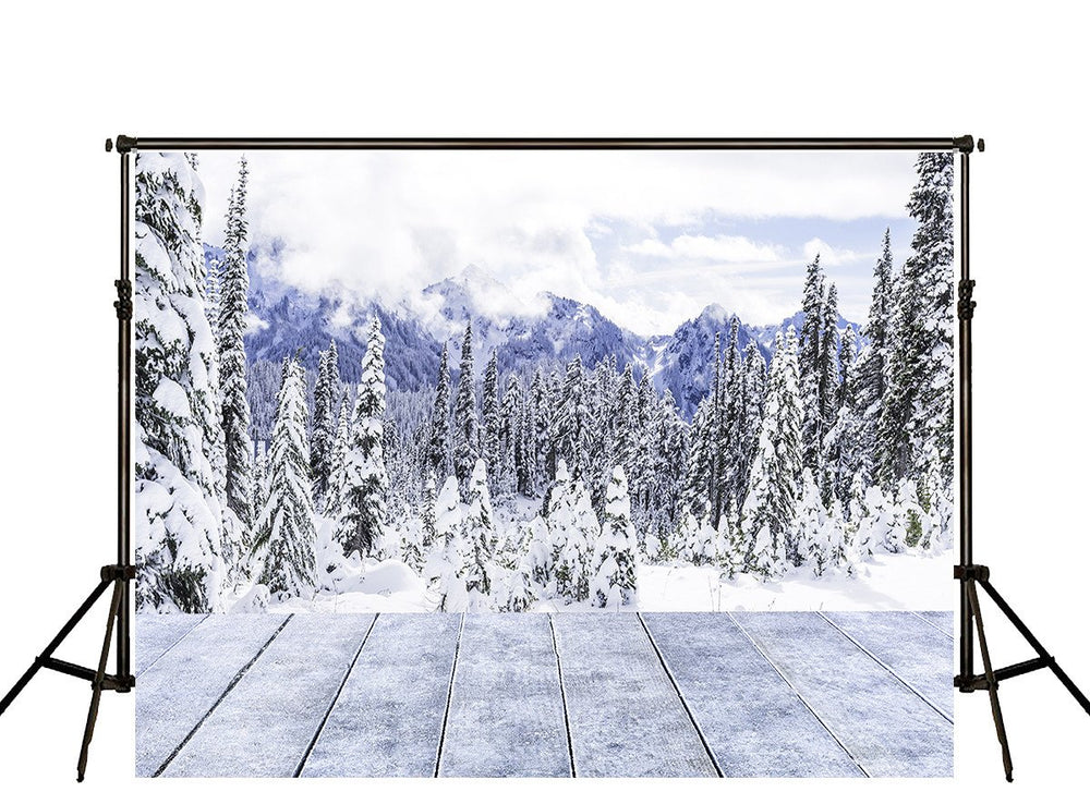 Winter Snowy Forest Backdrop for Photo Studio HJ02707