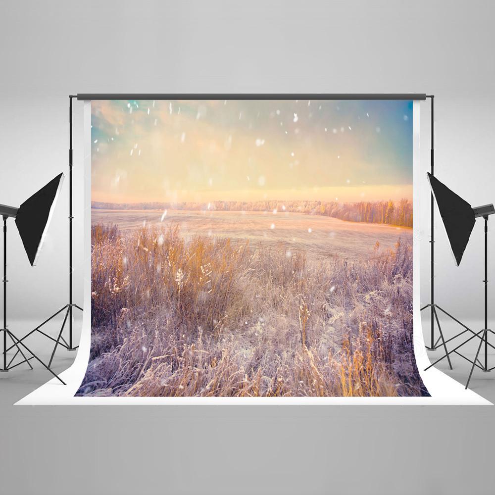 Grass Snowflake Winter Photography Backdrops HJ03450 – Dbackdrop