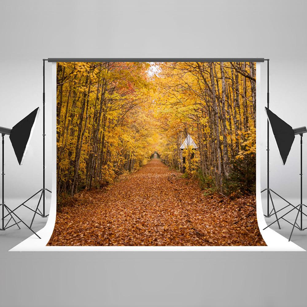 Autumn Yellow Leaves Forest Fall Backdrop for Studio HJ03451 – Dbackdrop