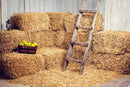 Western Barn Straw Farm Hay Photography Backdrop DBD-19355 – Dbackdrop