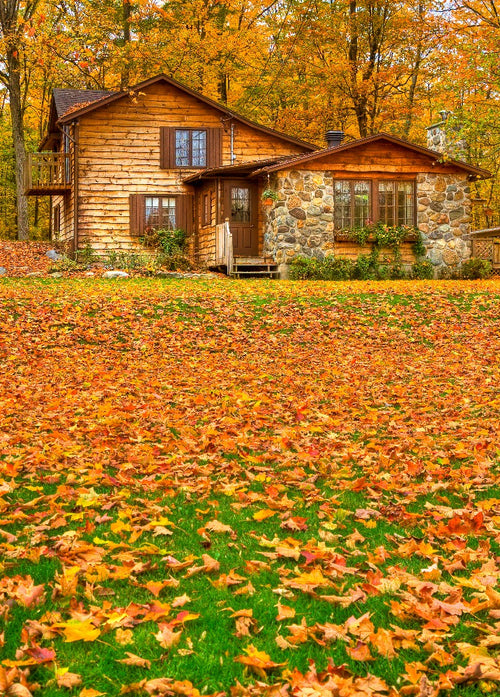 Autumn Backdrop House Yelllow Fallen Leaves Photography Backdrop DBD-1