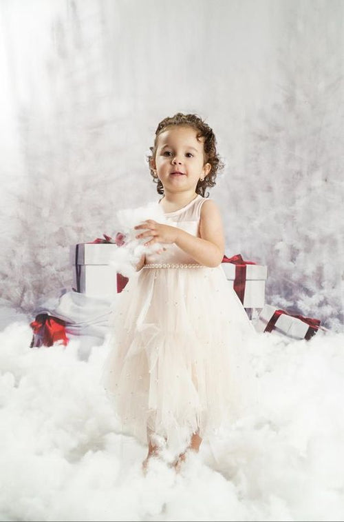 Christmas Tree Snow Gifts Photography Background KAT-38