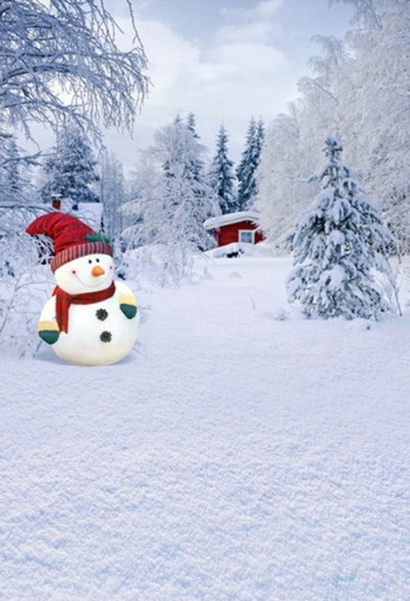 Winter Scence Snowman Forst Backdrop for Photo Booth L-872 – Dbackdrop