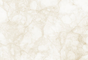 Photography Backdrop Marble Texture Photo Backdrop M076 – Dbackdrop