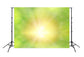 Green Bokeh Solar Beam Photography Backdrop M163 – Dbackdrop
