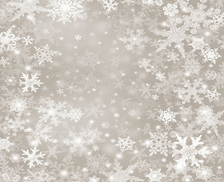 Snowflakes Winter Photography Backdrop for Photo Studio NB-149 – Dbackdrop