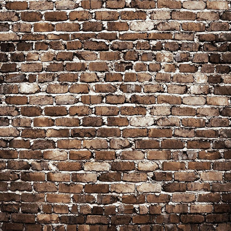 Vintage Brick Wall Photo Studio Backdrops S-2775 – Dbackdrop