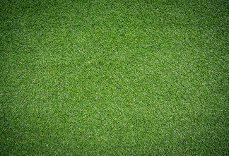 Fresh Grass Floor Backdrop for Photoghraphy SH-1110 – Dbackdrop