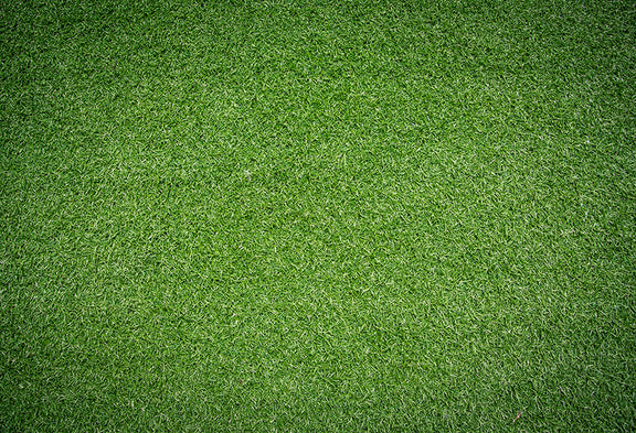Fresh Grass Floor Backdrop for Photoghraphy SH-1110 – Dbackdrop