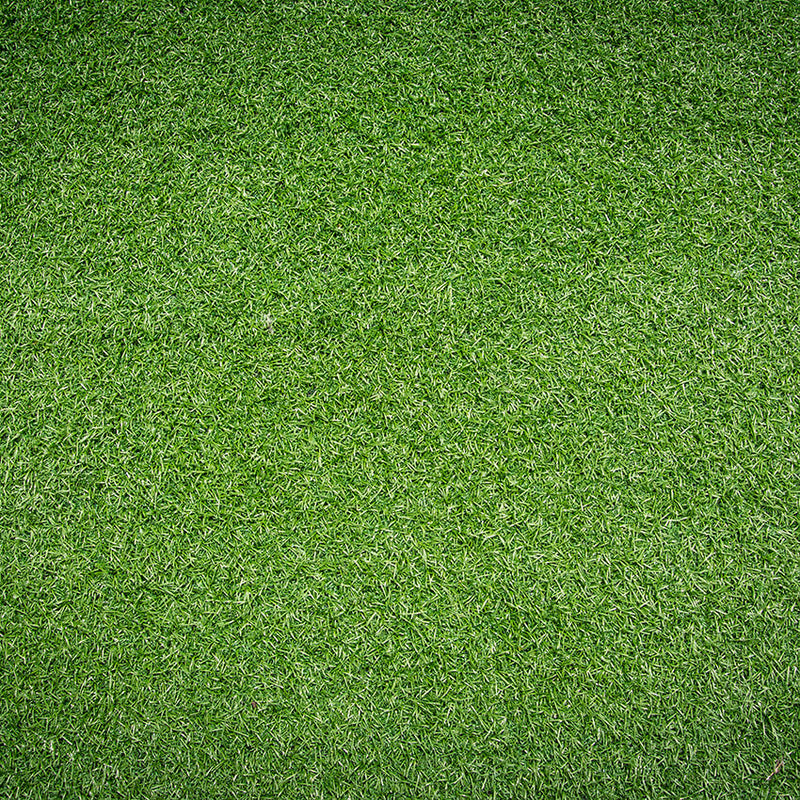 Fresh Grass Floor Backdrop for Photoghraphy SH-1110