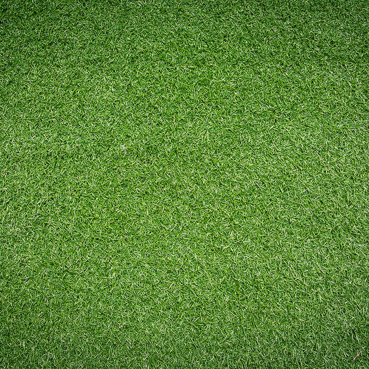 Fresh Grass Floor Backdrop for Photoghraphy SH-1110 – Dbackdrop