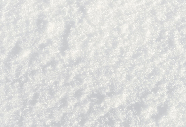 Winter Snow Backdrops for Photography-Dbackdrop