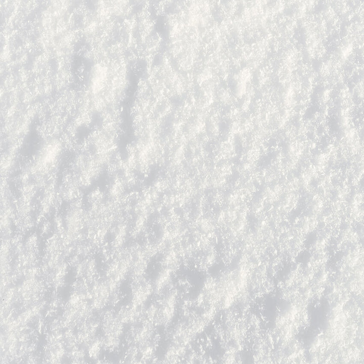 Winter Snow Backdrops for Photography-Dbackdrop