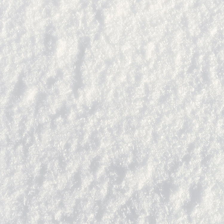 Christmas Winter Snow Floor Backdrop SH-1111 – Dbackdrop