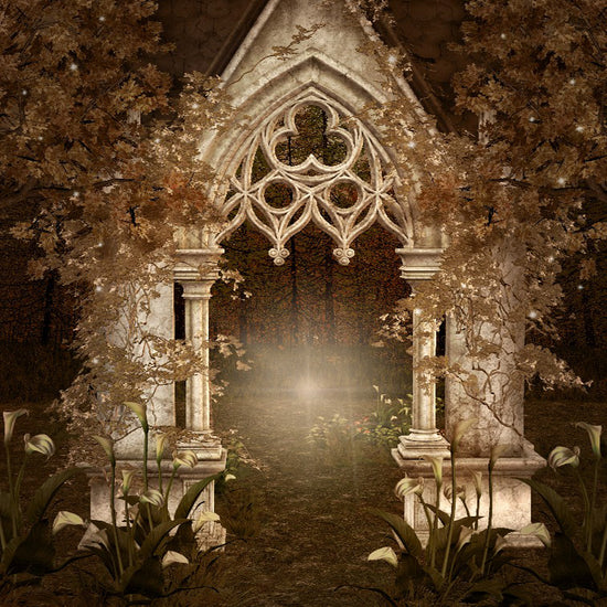 Fantasy Entrance Photography Backdrop SH-963 – Dbackdrop