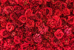 Red Rose Flower Wedding Photography Backdrop SH-994 – Dbackdrop