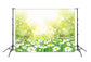 Spring Flowers Green Bokeh Backdrop for Photography SH205 – Dbackdrop