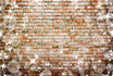 Hubble Brick Wall Photography Backdrop ST-461 – Dbackdrop