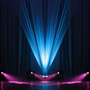 Stage Prom Homecoming Backdrops for Photography YY00160-E – Dbackdrop