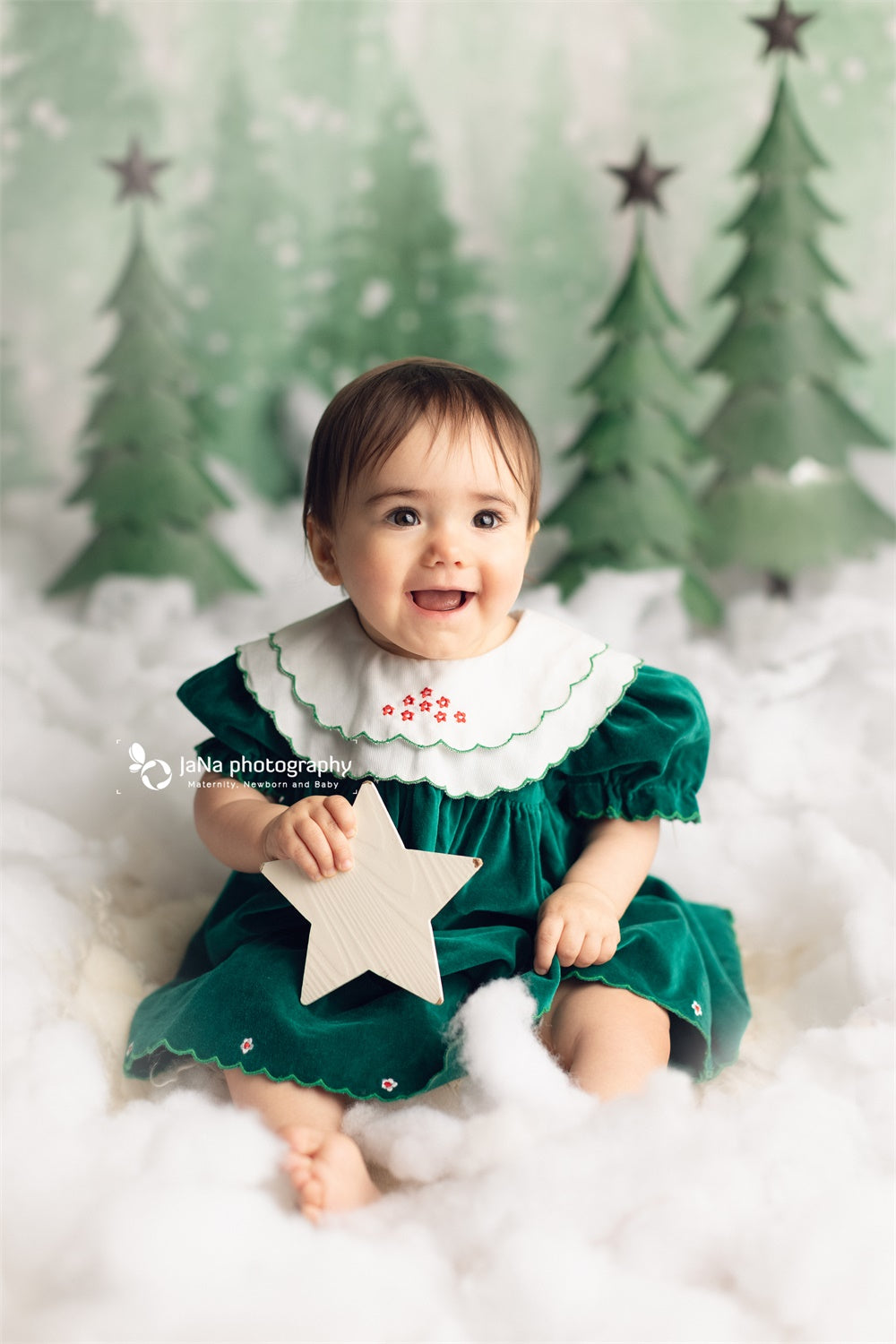 Christmas Trees Backdrop Snow Background Baby Photography ZG-71 – Dbackdrop