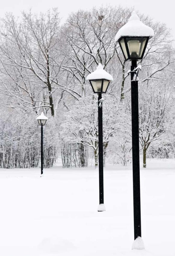 Winter Street Lamp Snowy Forest Trees Photography Backdrop for Studio ...