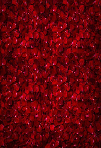 Red rose petals backdrop for Studio Photo Shoot KAT- 69 – Dbackdrop