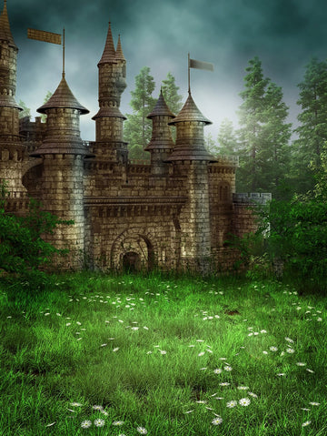 Castle Backdrops – Page 2 – Dbackdrop