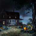 Dark Night Forest Horrify Halloween Festival Backdrops DBD-19099 ...