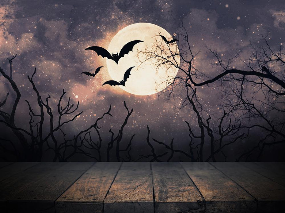 Halloween Backdrops – Dbackdrop