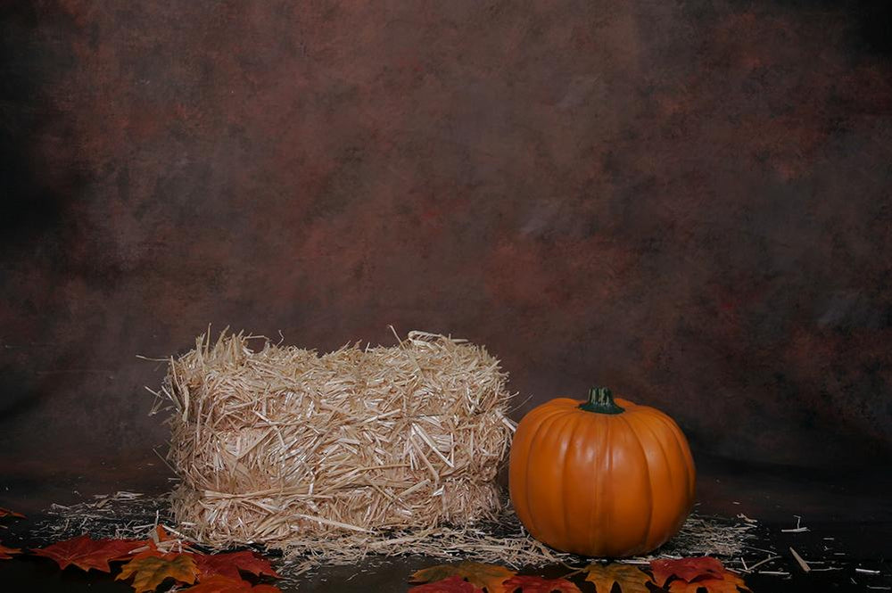 Halloween Haystack Pumpkin Backdrop for Photography DBD-19067