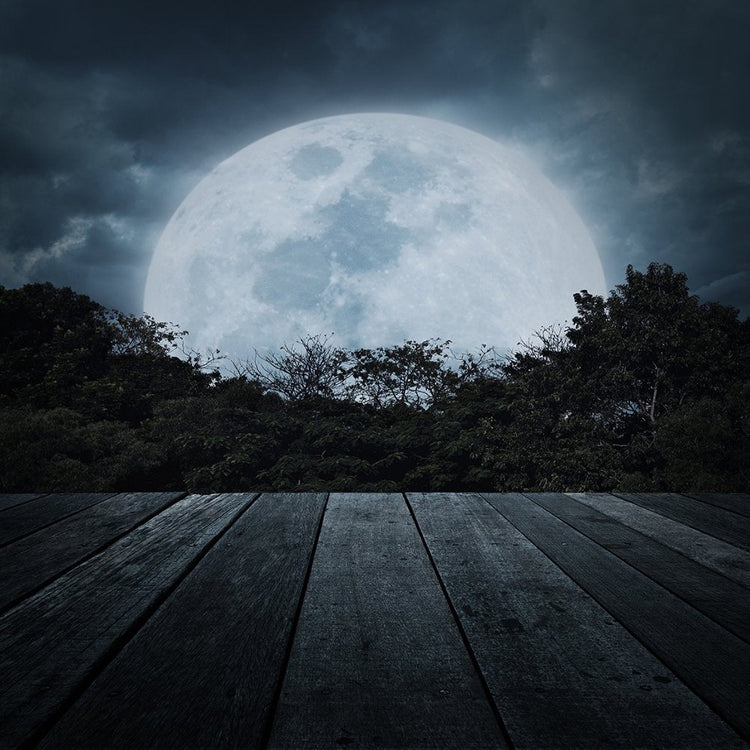 Festival Backdrops Halloween Backdrops Incomplete Moonlight Dark Wood ...