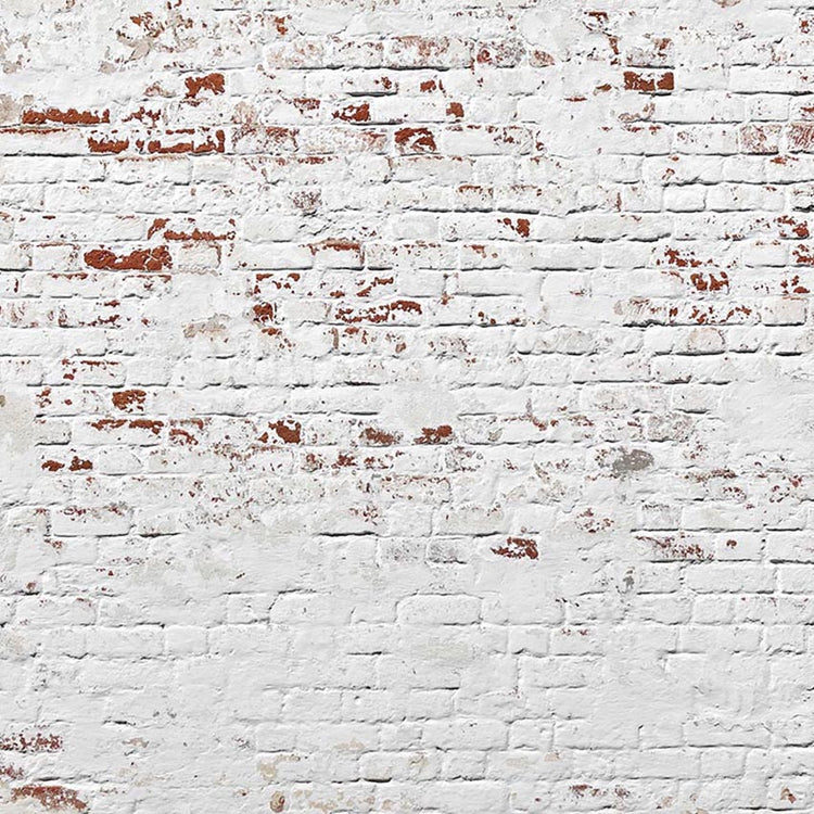White Brick Wall Photography Backdrop for Studio LV-138 – Dbackdrop