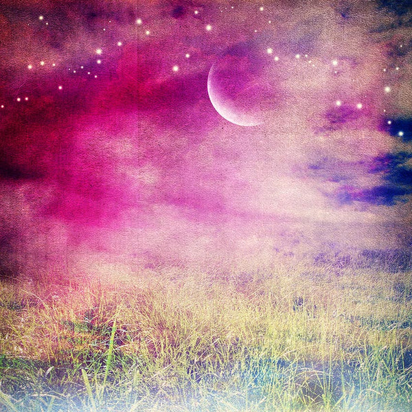 Portrait Photography Backdrop Night Sky Moon Stars Grass Background LV