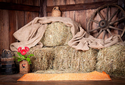 Old Barn Backdrop West Cowboy Vintage Wooden Barn Straw Backdrop LV-80