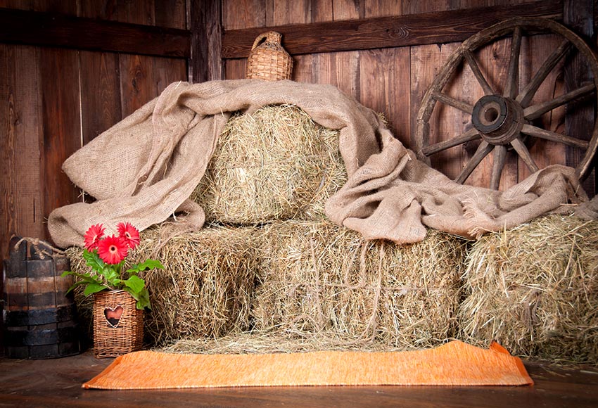 Old Barn Backdrop West Cowboy Vintage Wooden Barn Straw Backdrop LV-80 ...